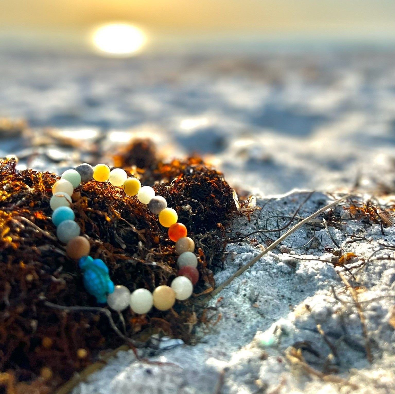 https://koakoa.life/ – KoaKoa.life